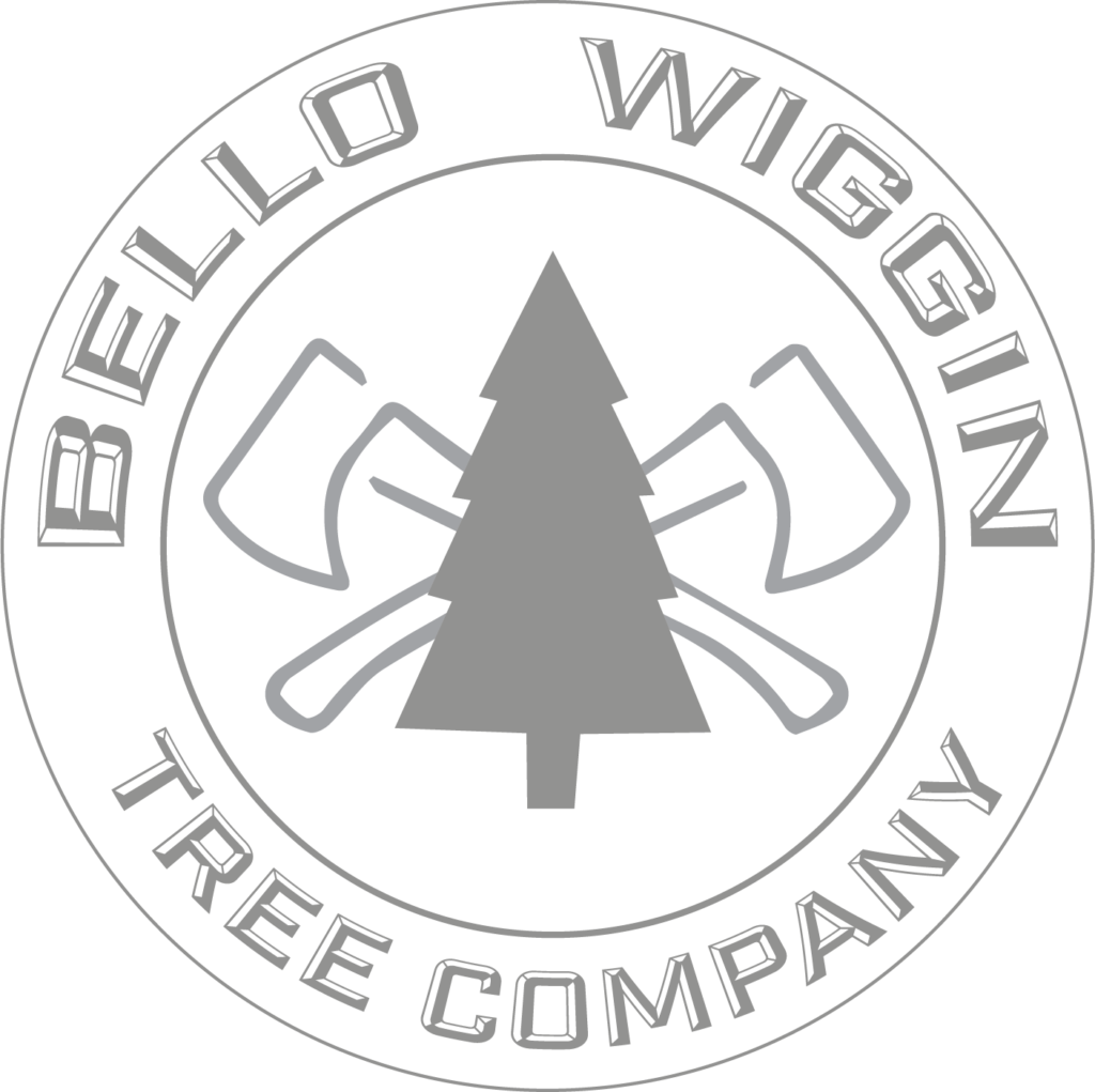 Services – Bello Wiggin Tree